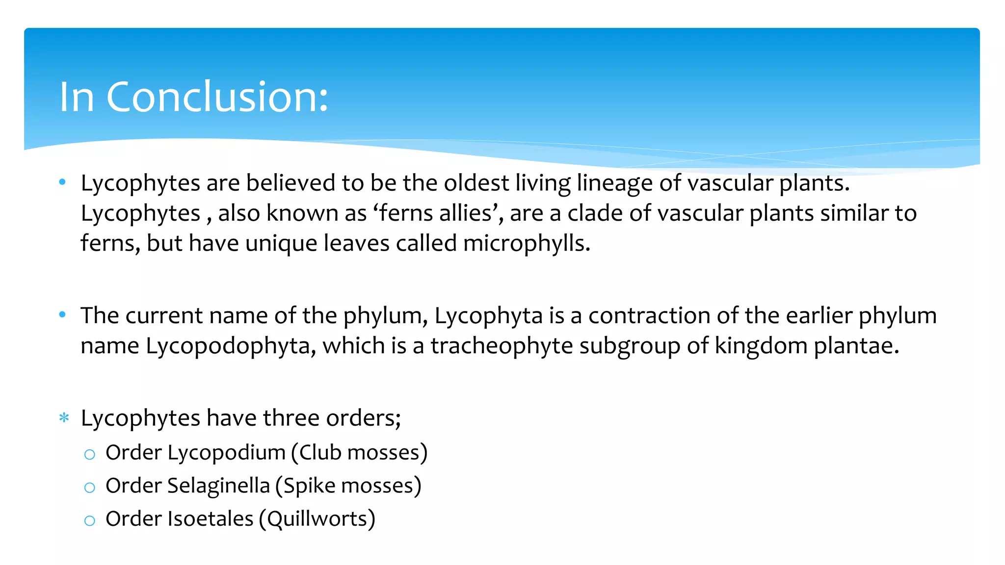 Phylum lycophyta (Club mosses, Spike mosses & Quillworts) | PPTX