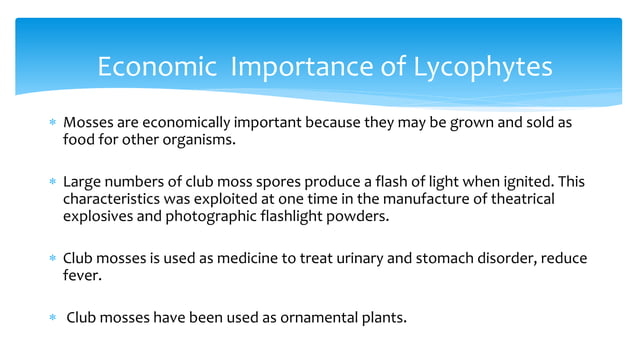Phylum lycophyta (Club mosses, Spike mosses & Quillworts) | PPTX ...