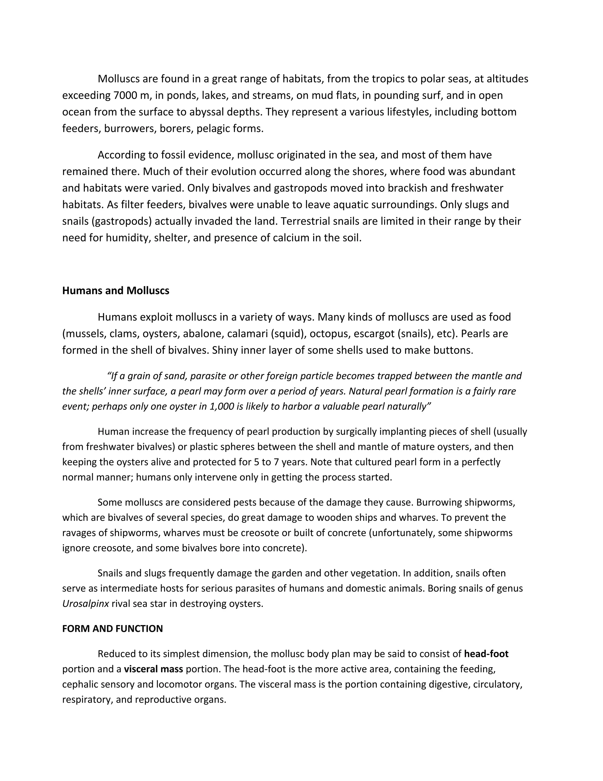 Phylum mollusca | DOC