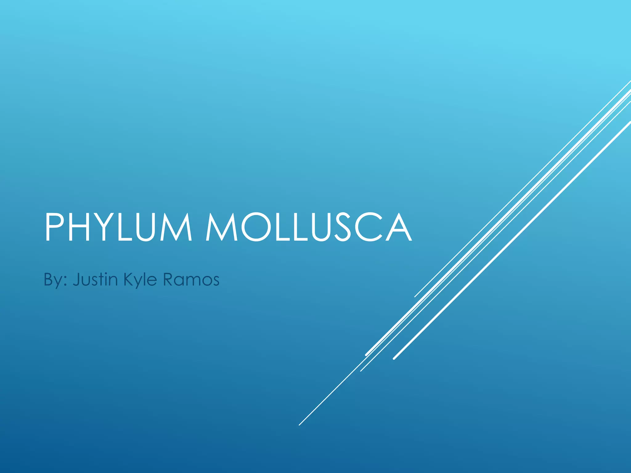 Phylum mollusca | PPTX