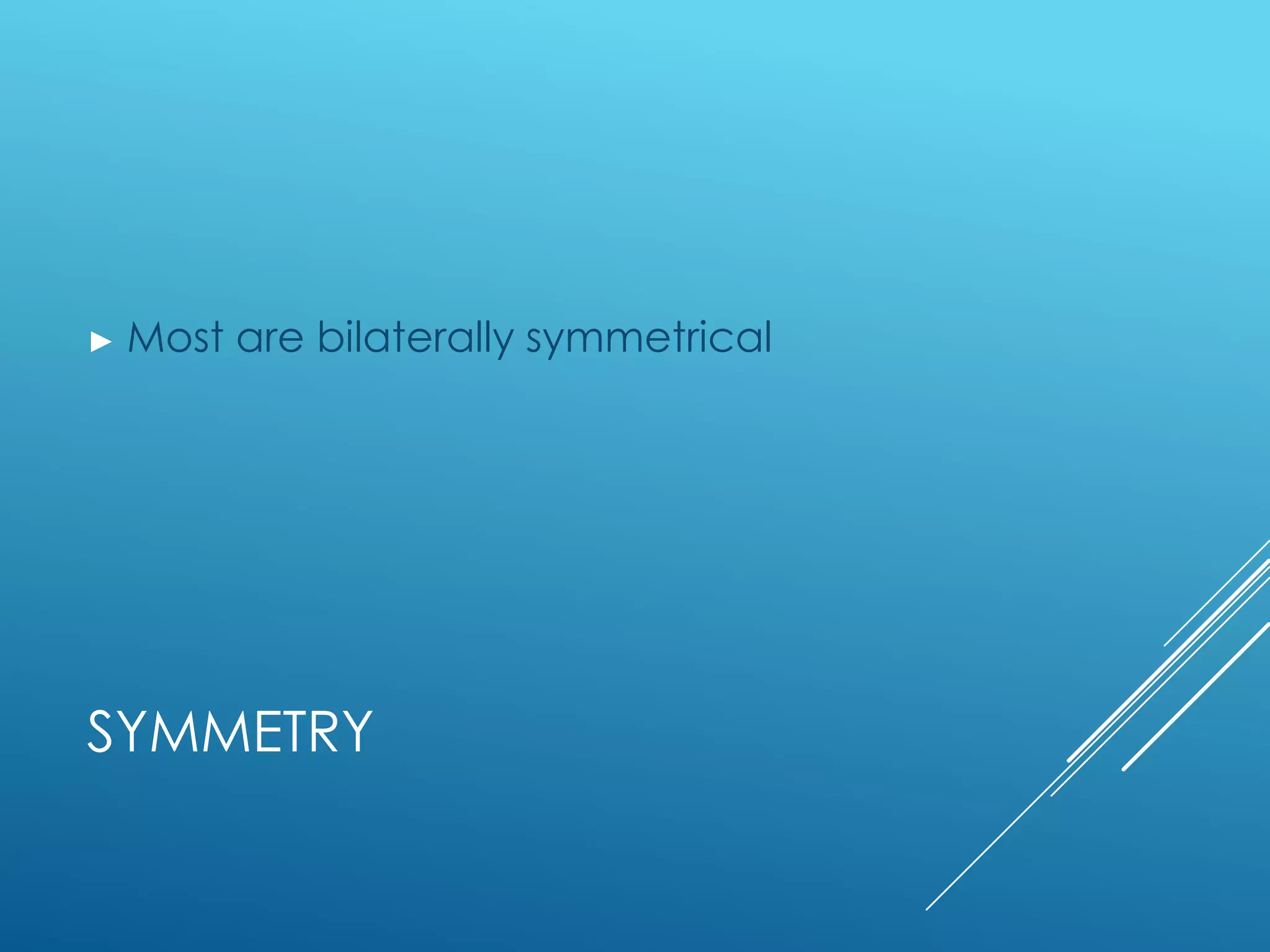 Phylum mollusca | PPTX