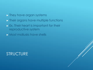 Phylum mollusca | PPTX