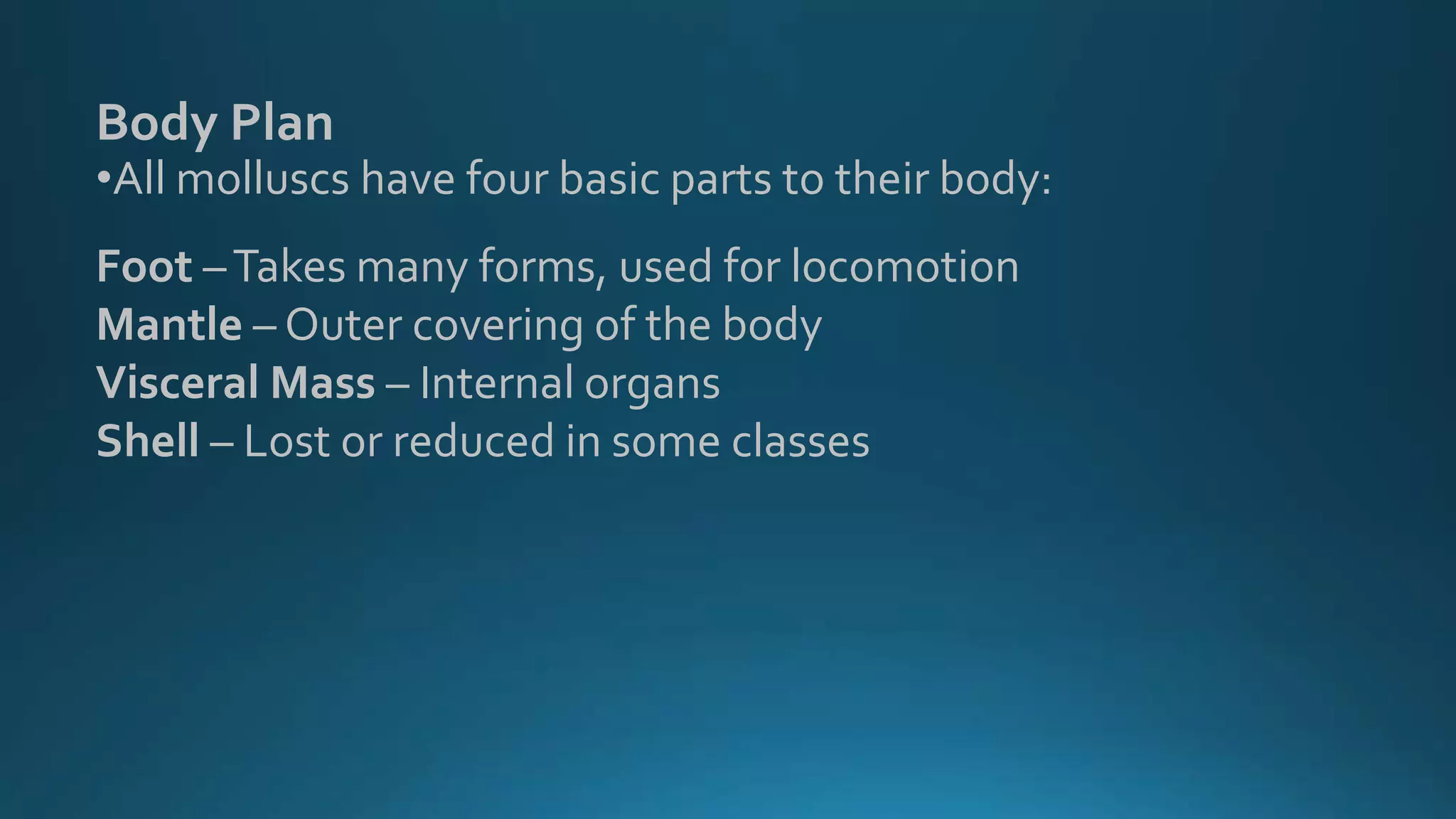 Phylum mollusca | PPTX