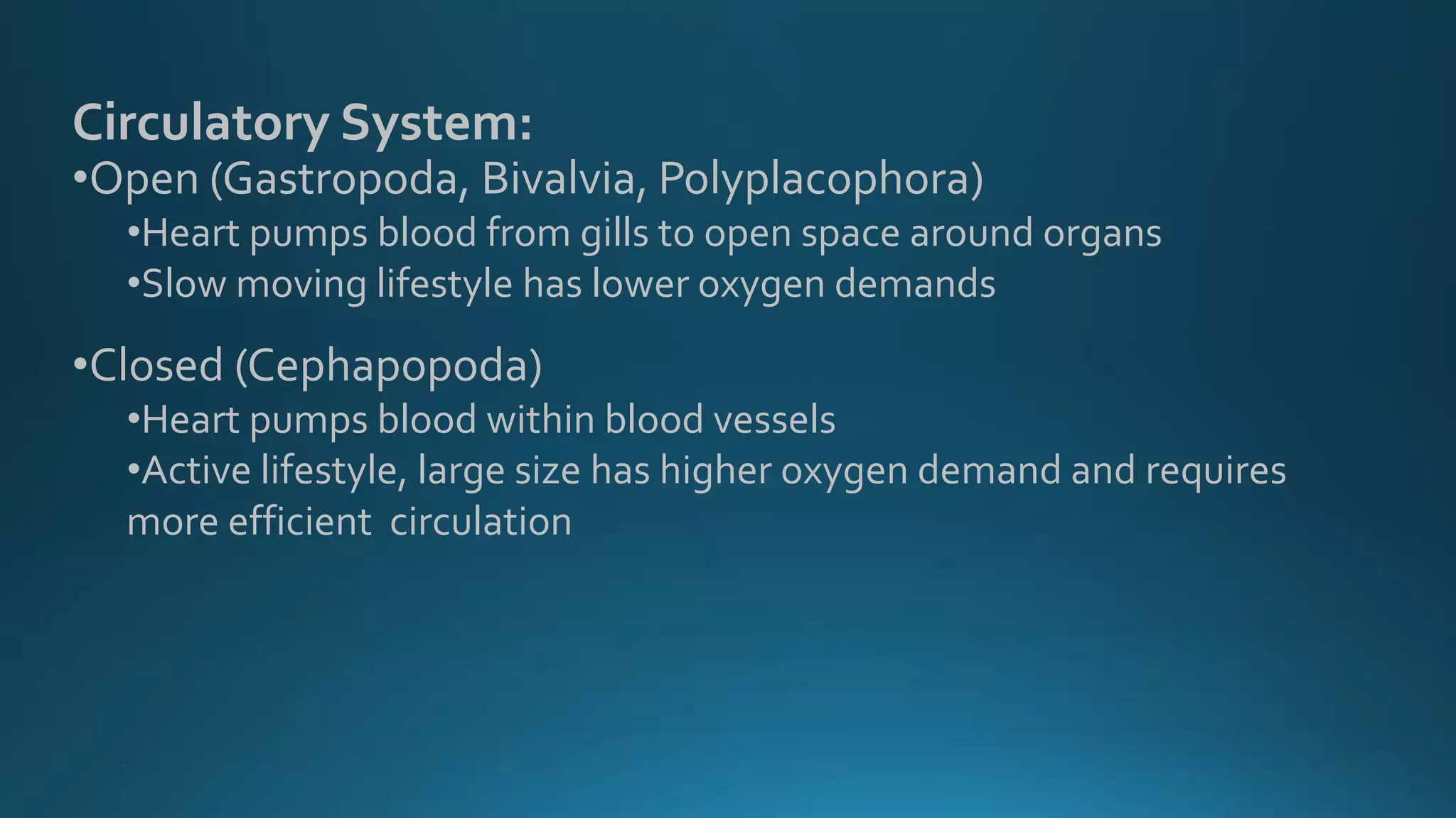 Phylum mollusca | PPTX