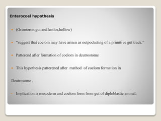 Phylum mollusca presentation | PPT