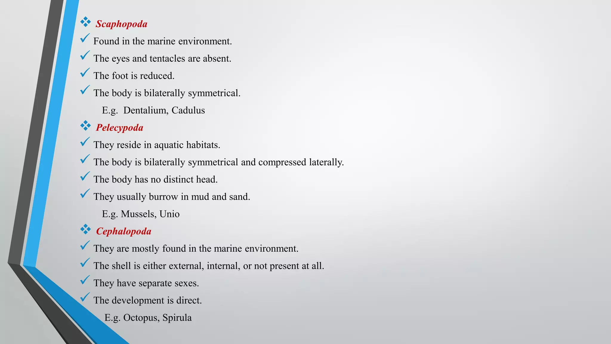 General characteristics of Phylum Mollusca | PDF