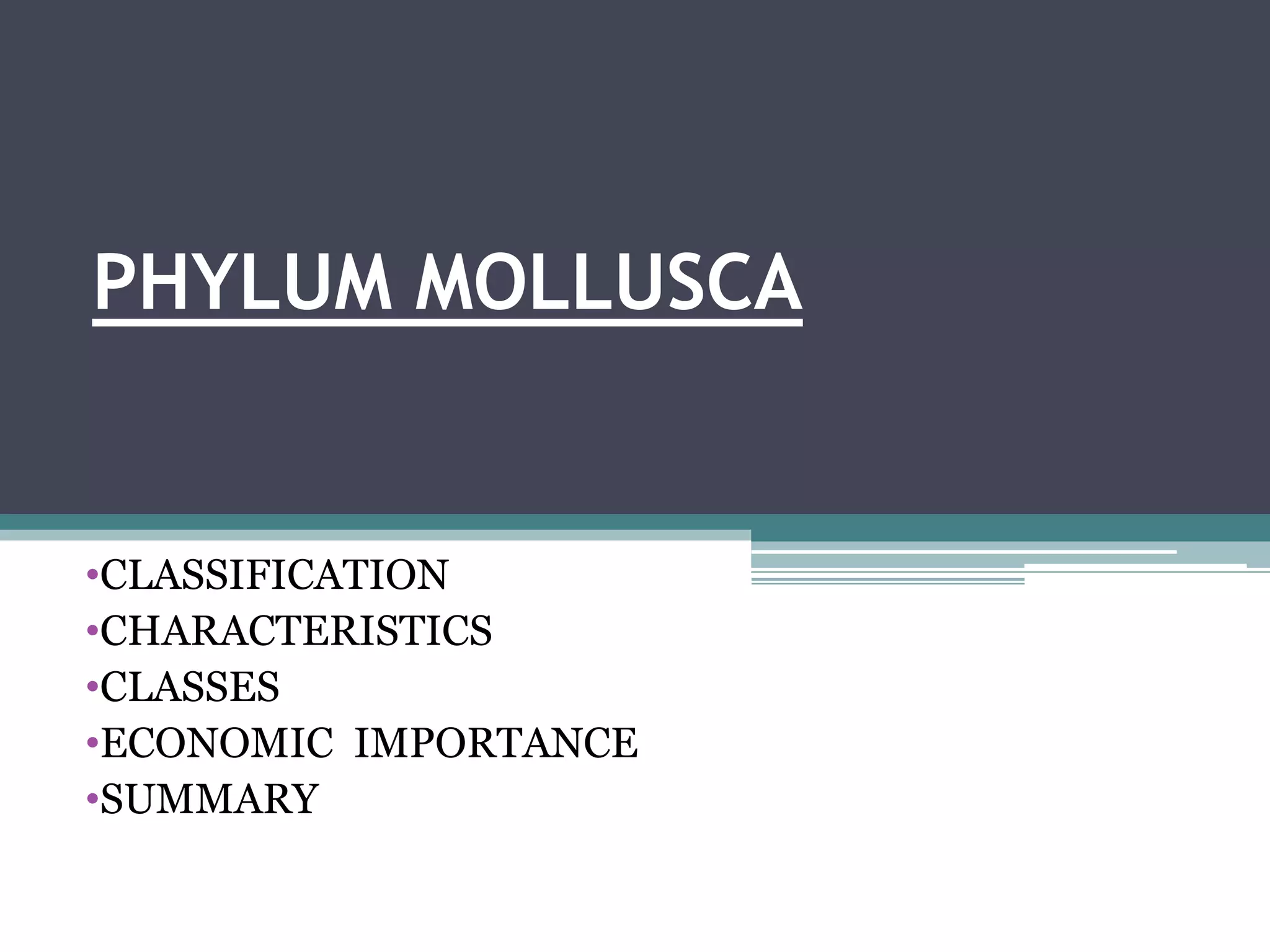 PHYLUM MOLLUSCA.pptx