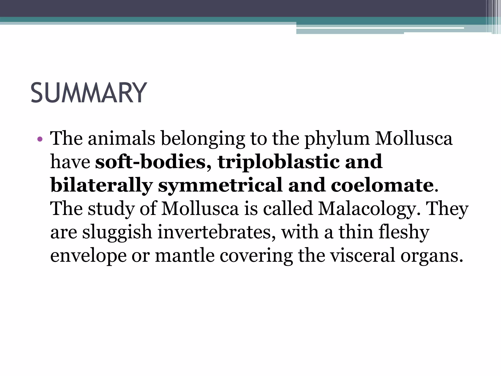 PHYLUM MOLLUSCA.pptx
