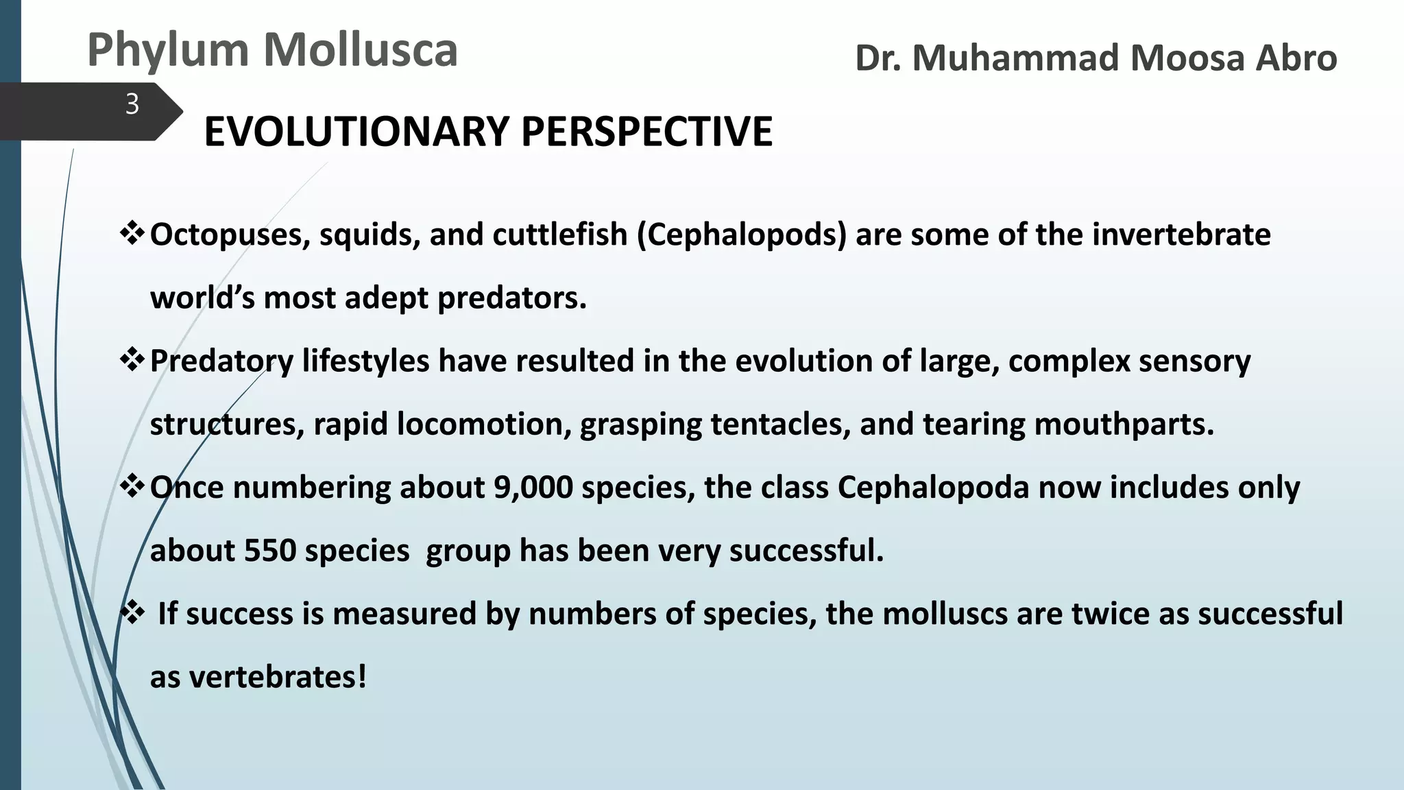 Phylum Mollusca, Characteristics and Classification.pptx