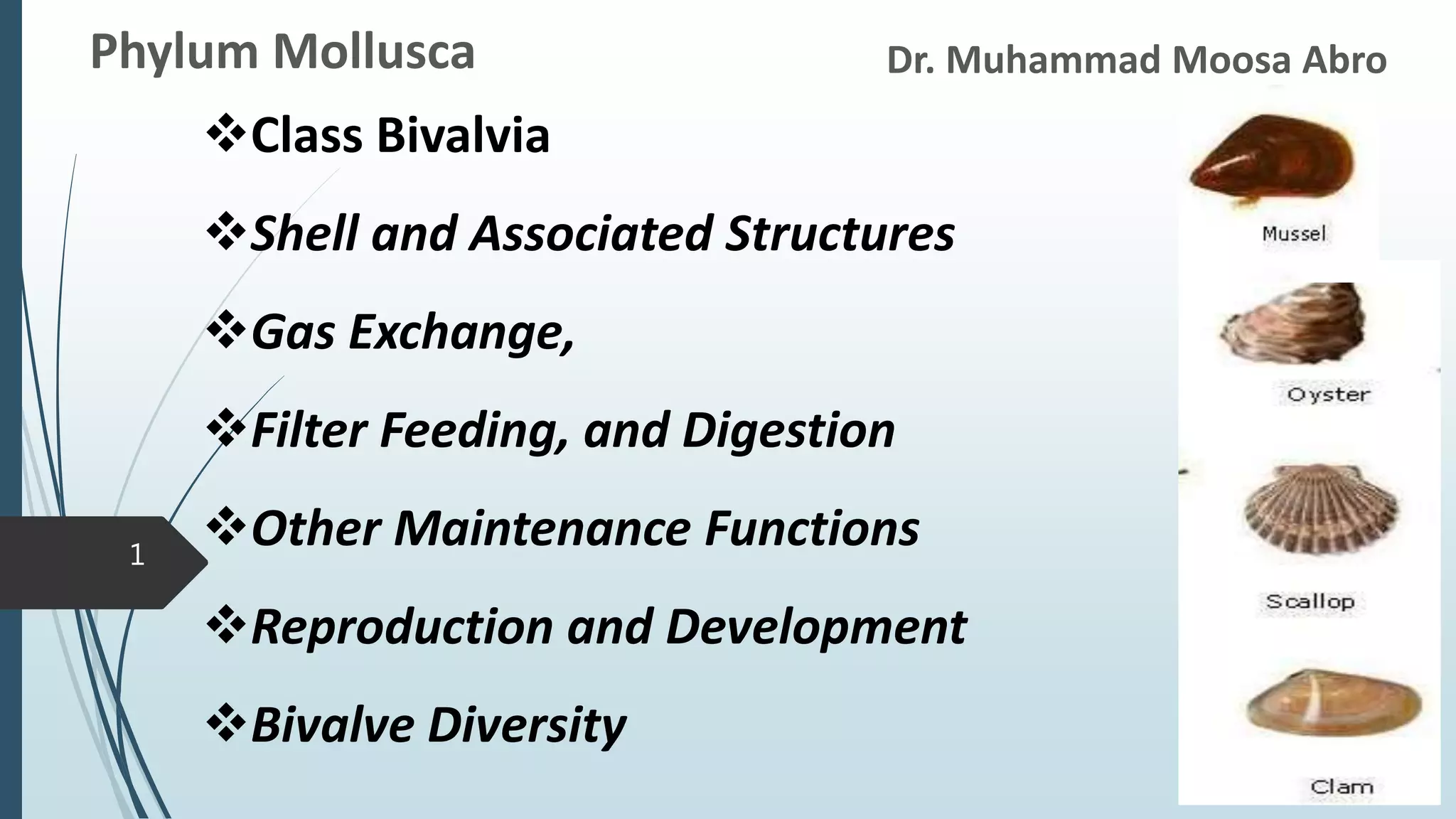 Phylum Mollusca, Class Bivalvia, Shell, Locomotion, Digestion ...
