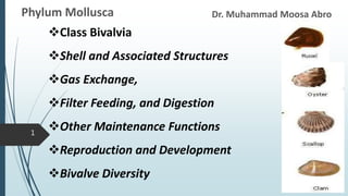 Phylum Mollusca, Class Bivalvia, Shell, Locomotion, Digestion ...