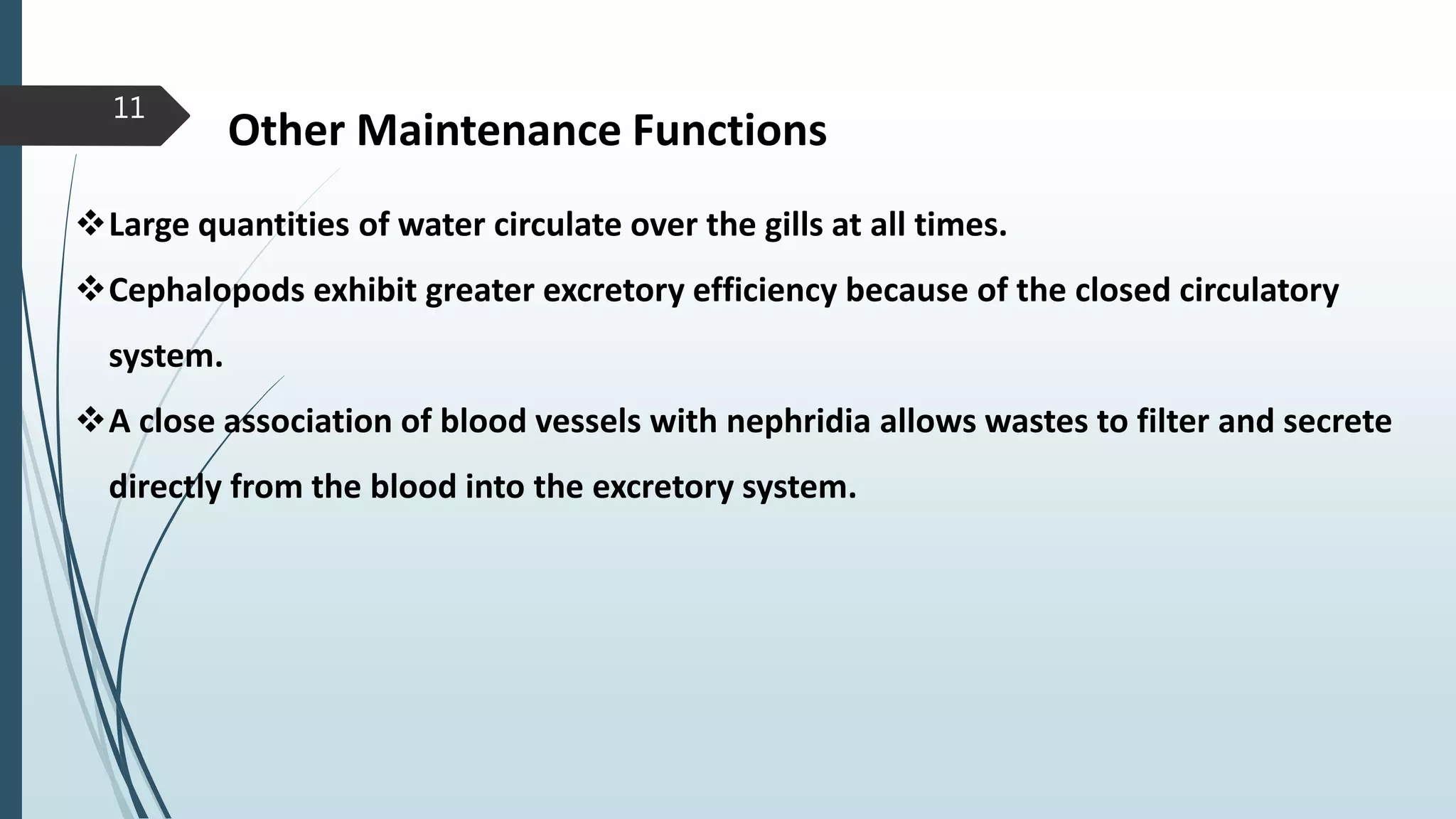 Phylum Mollusca, Class Cephalopoda, Locomotion, Digestion,Reproduction ...