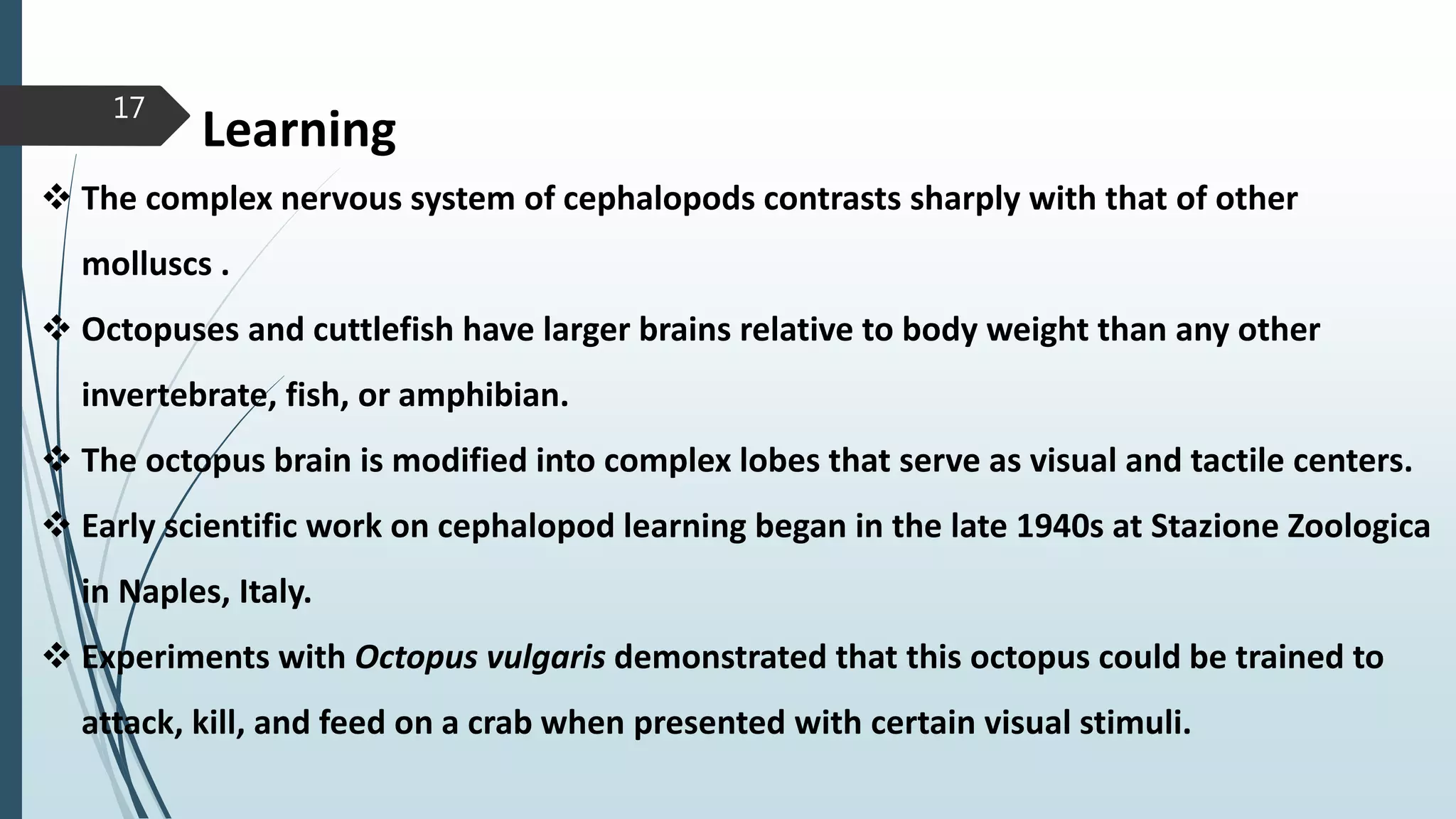 Phylum Mollusca, Class Cephalopoda, Locomotion, Digestion,Reproduction, Development learning and ...
