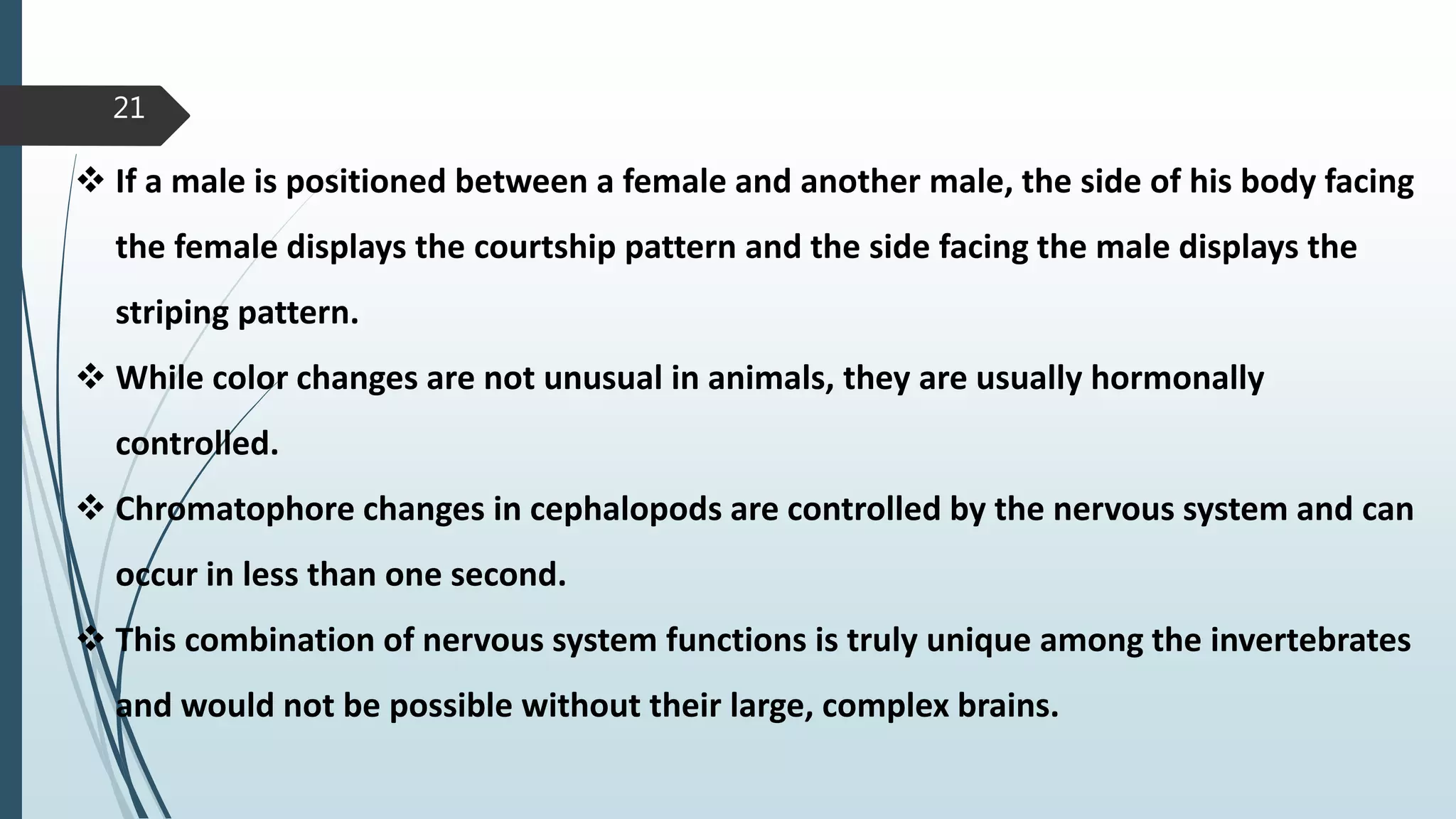 Phylum Mollusca, Class Cephalopoda, Locomotion, Digestion,Reproduction ...