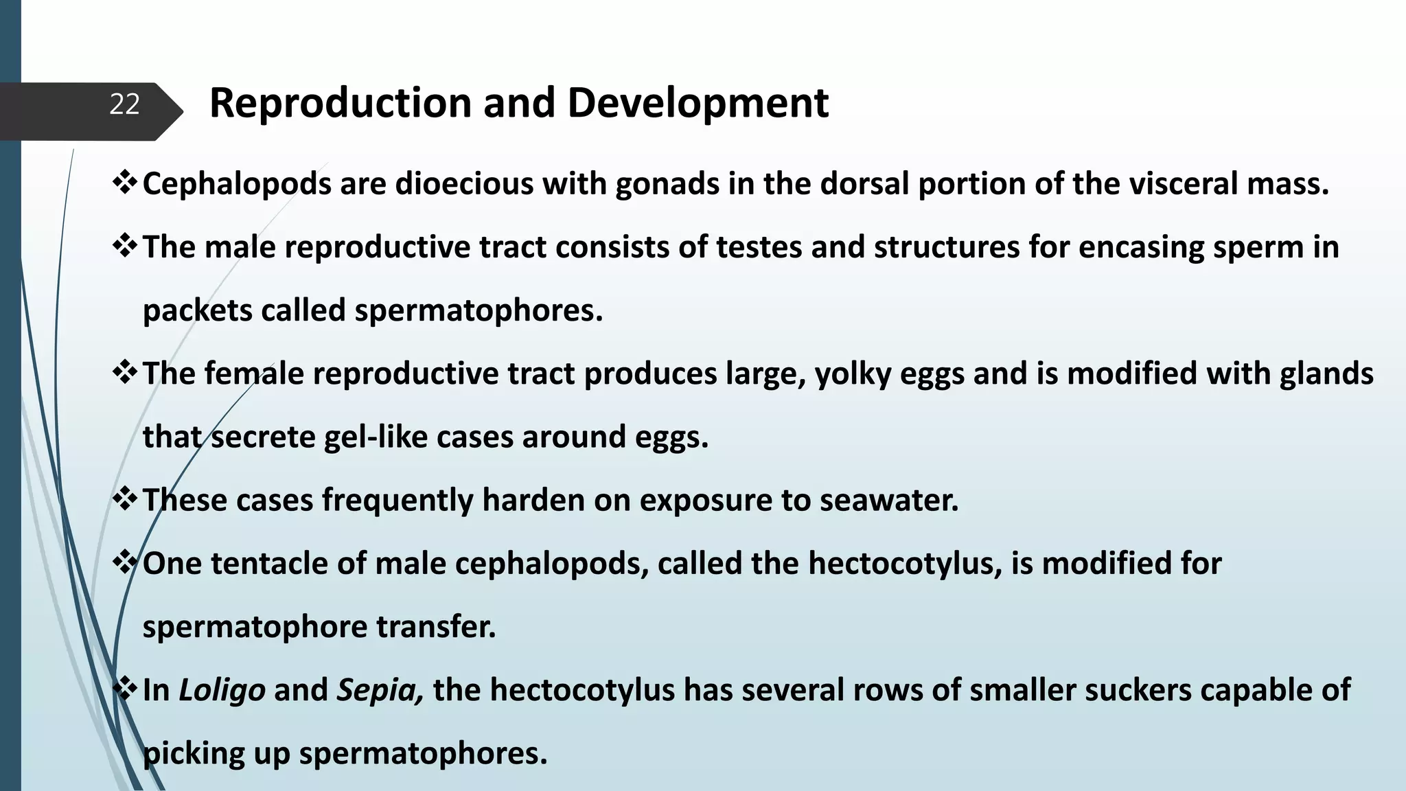 Phylum Mollusca, Class Cephalopoda, Locomotion, Digestion,Reproduction ...