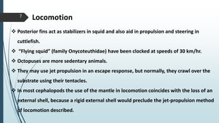 Phylum Mollusca, Class Cephalopoda, Locomotion, Digestion,Reproduction ...