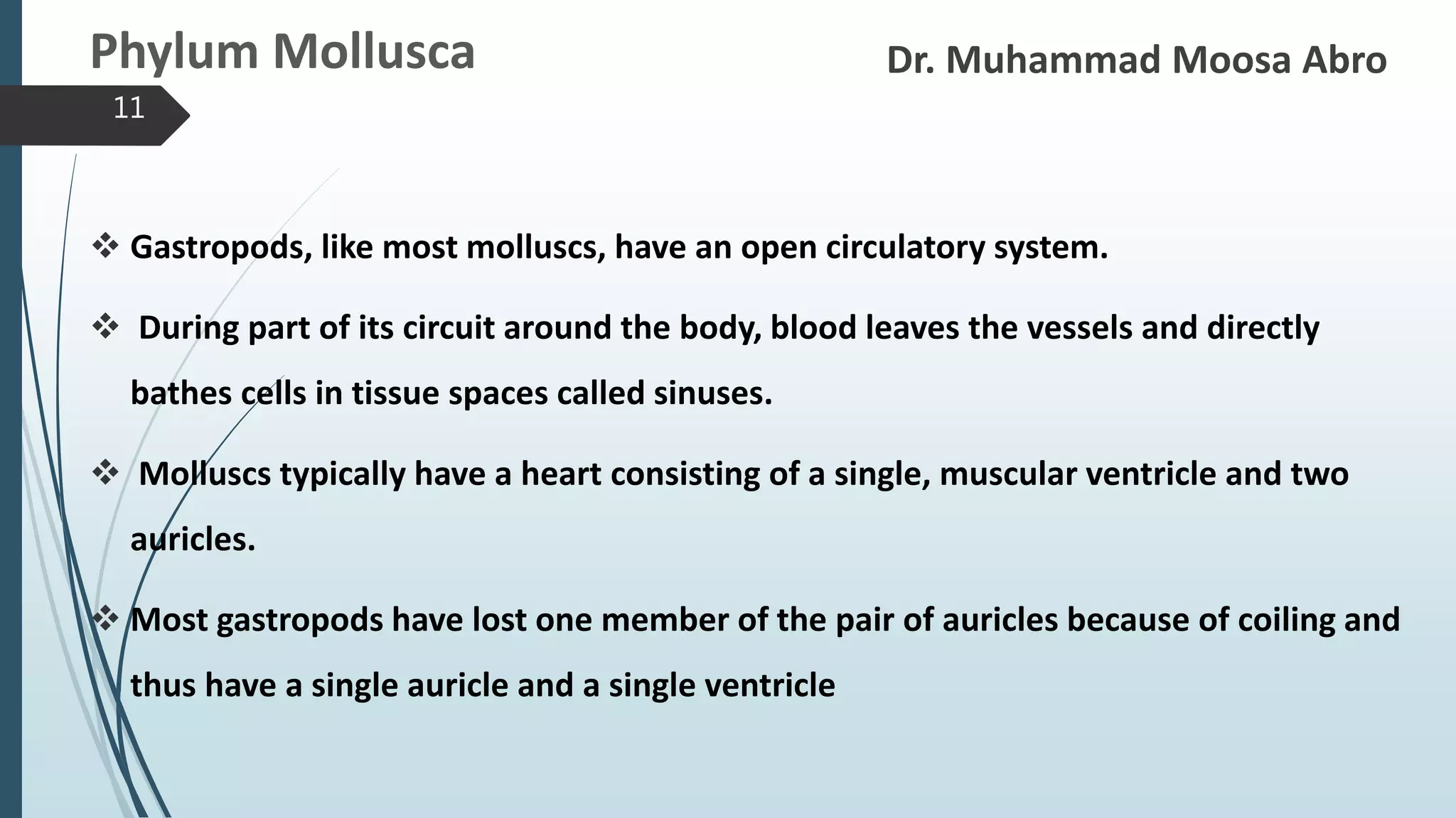 Phylum Mollusca, Class Gastropoda, Torsion, Locomotion, Digestion ...