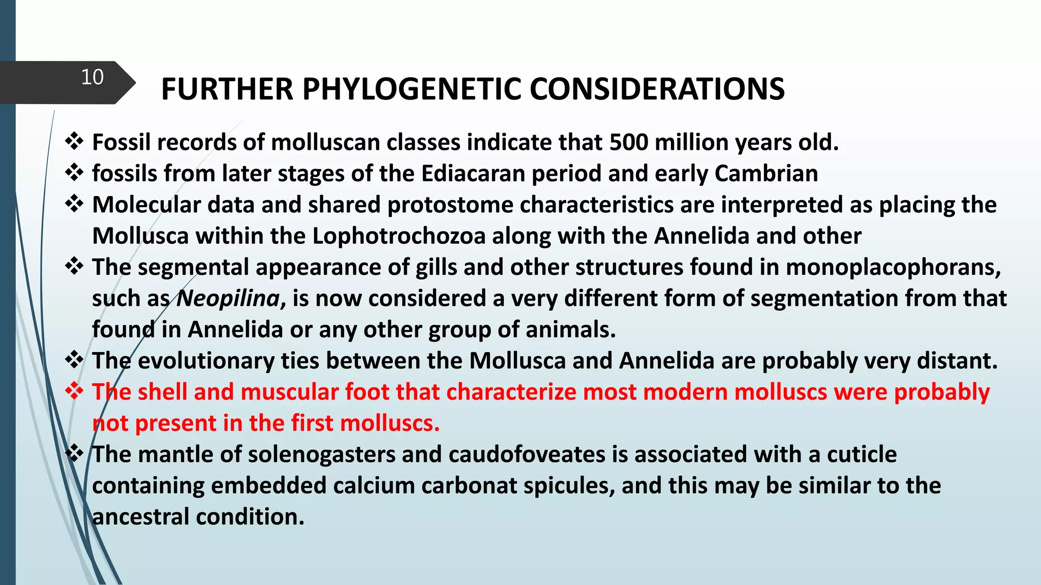 Phylum Mollusca, Class Polyplacophora, Class Monoplacophora ...