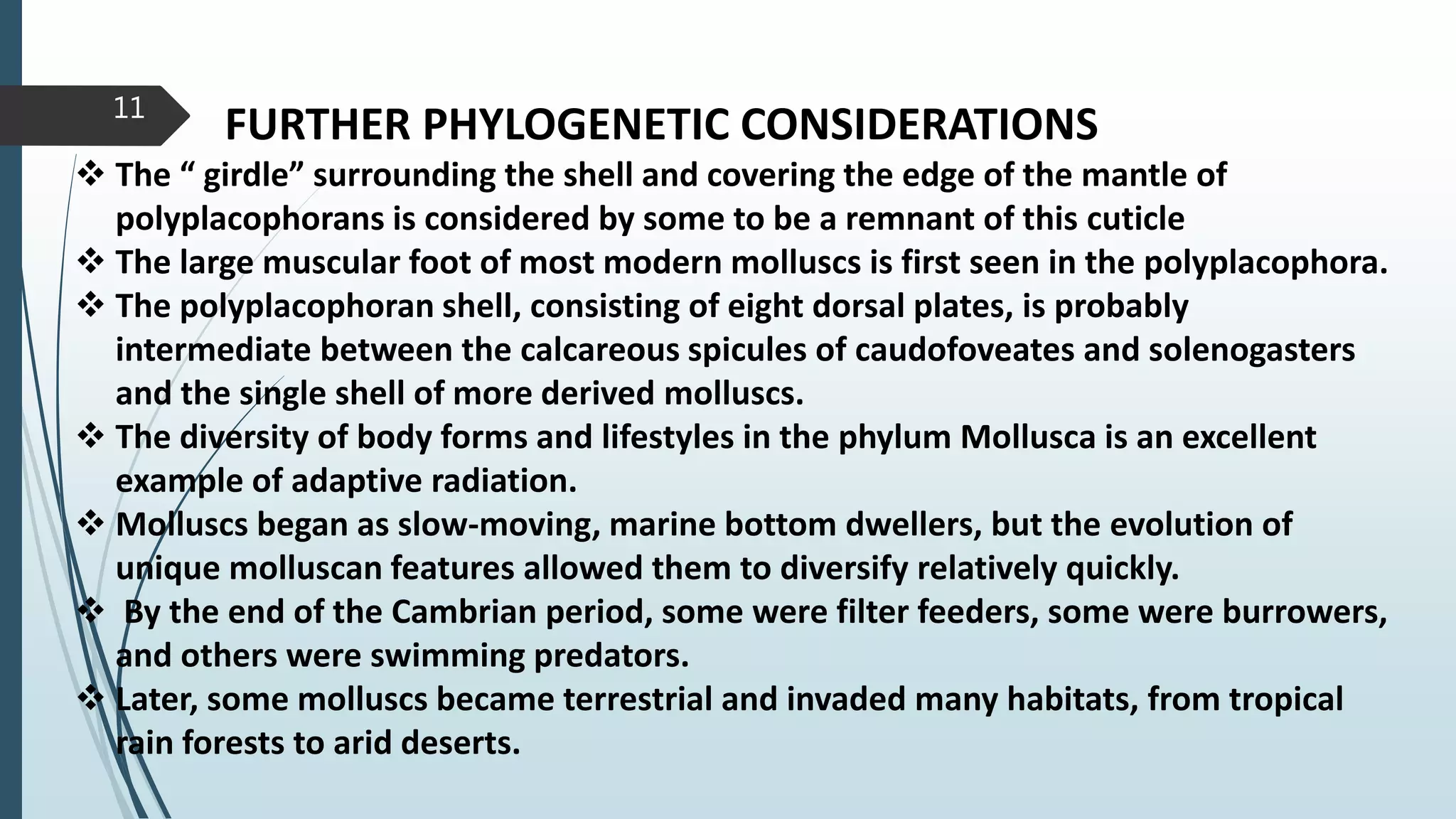 Phylum Mollusca, Class Polyplacophora, Class Monoplacophora ...