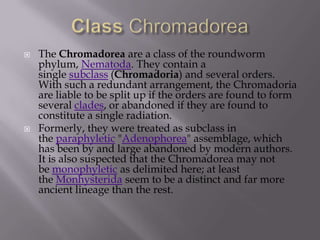 Phylum nemathelmithes | PPTX