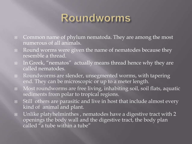 Phylum nematoda 1 | PPTX