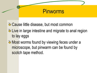 Phylum nematoda (1) | PPT