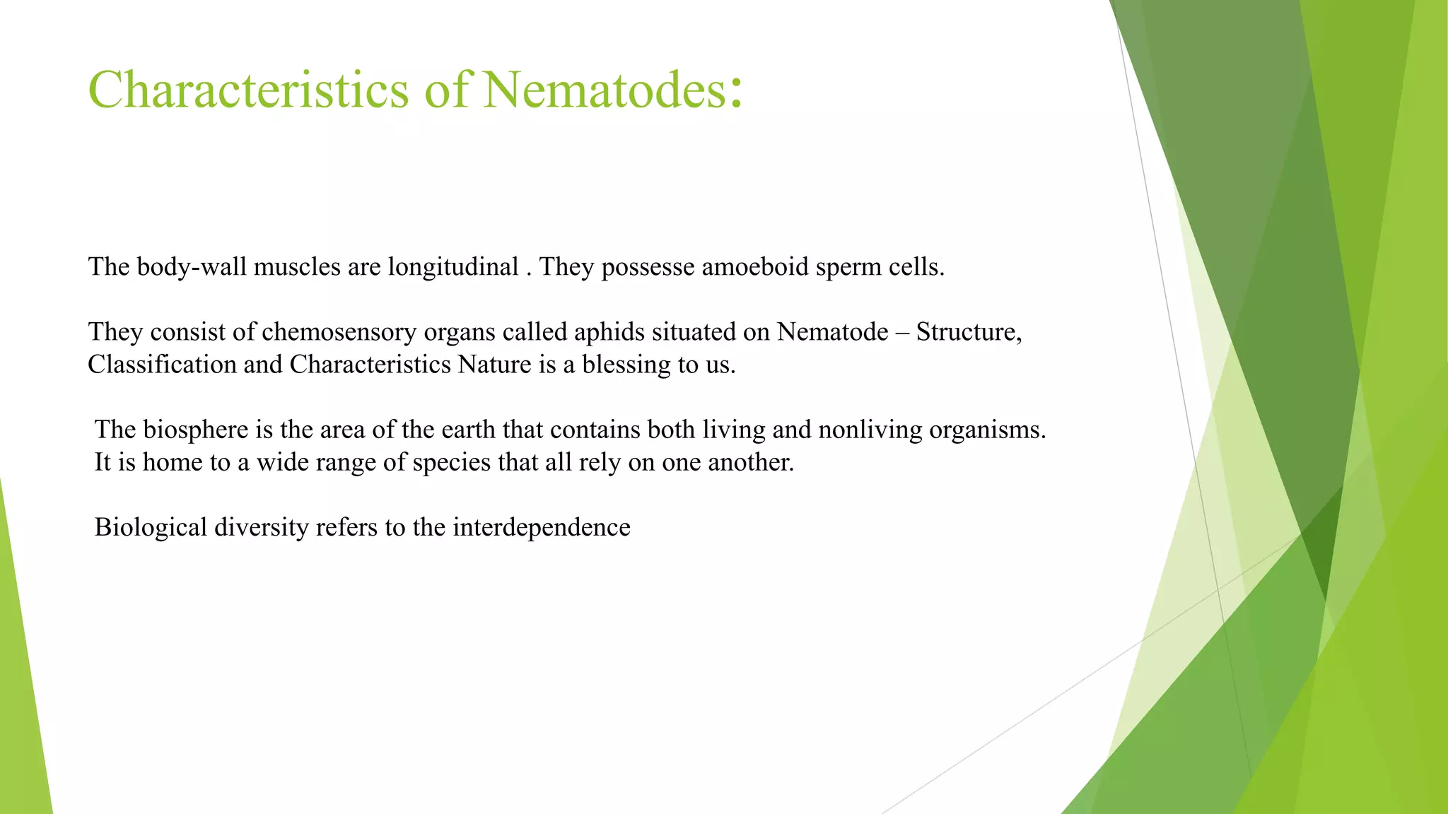 PHYLUM NEMATODA (1).pptx