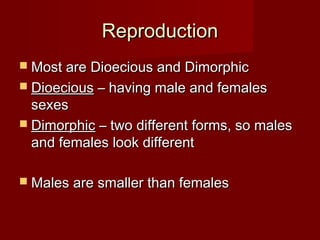 Phylum Nematoda Notes | PPT