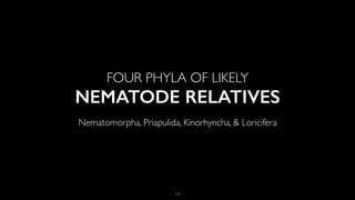 Phylum Nematoda (and Four Phyla of Likely Nematode Relatives) | PDF