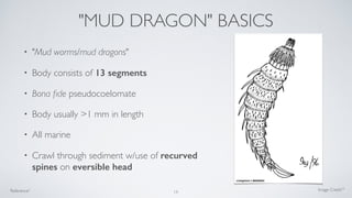 Phylum Nematoda (and Four Phyla of Likely Nematode Relatives) | PPT