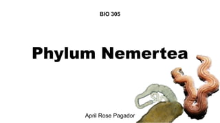 Phylum Nemertea_ Biology of the Invertebrates | PPTX