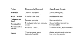 Phylum Nemertea_ Biology of the Invertebrates | PPTX