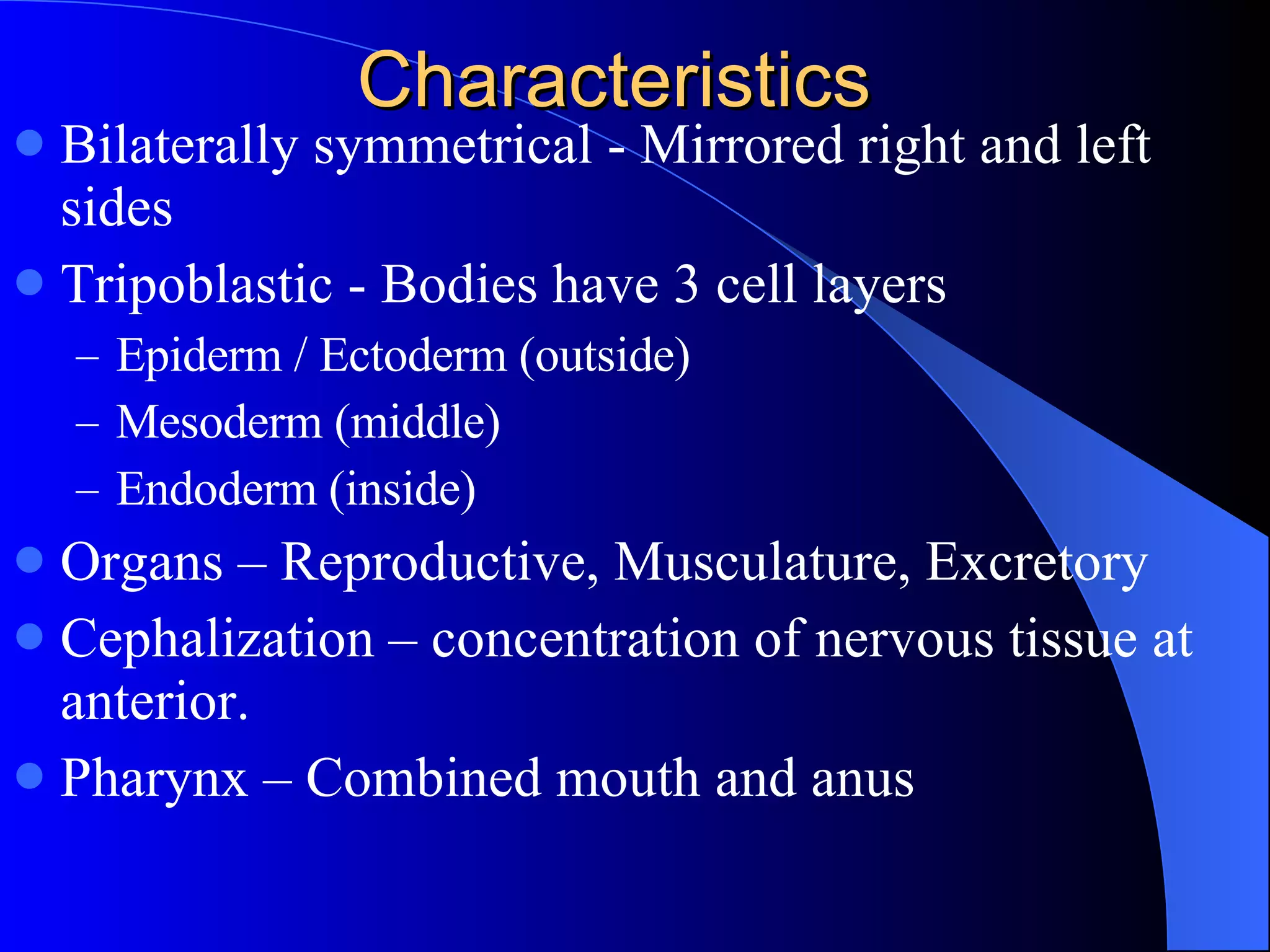 Phylum Platyhelminthes | PPT