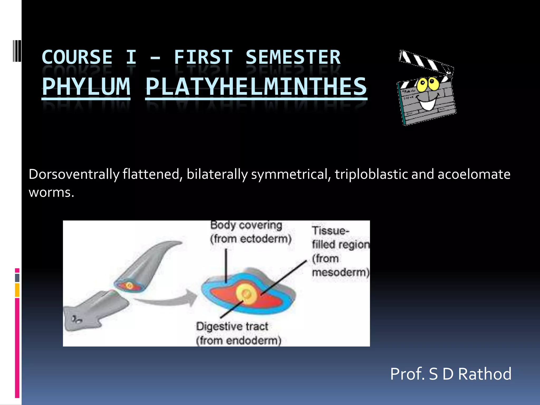 Phylum Platyhelminthes and Nematodes | PPTX