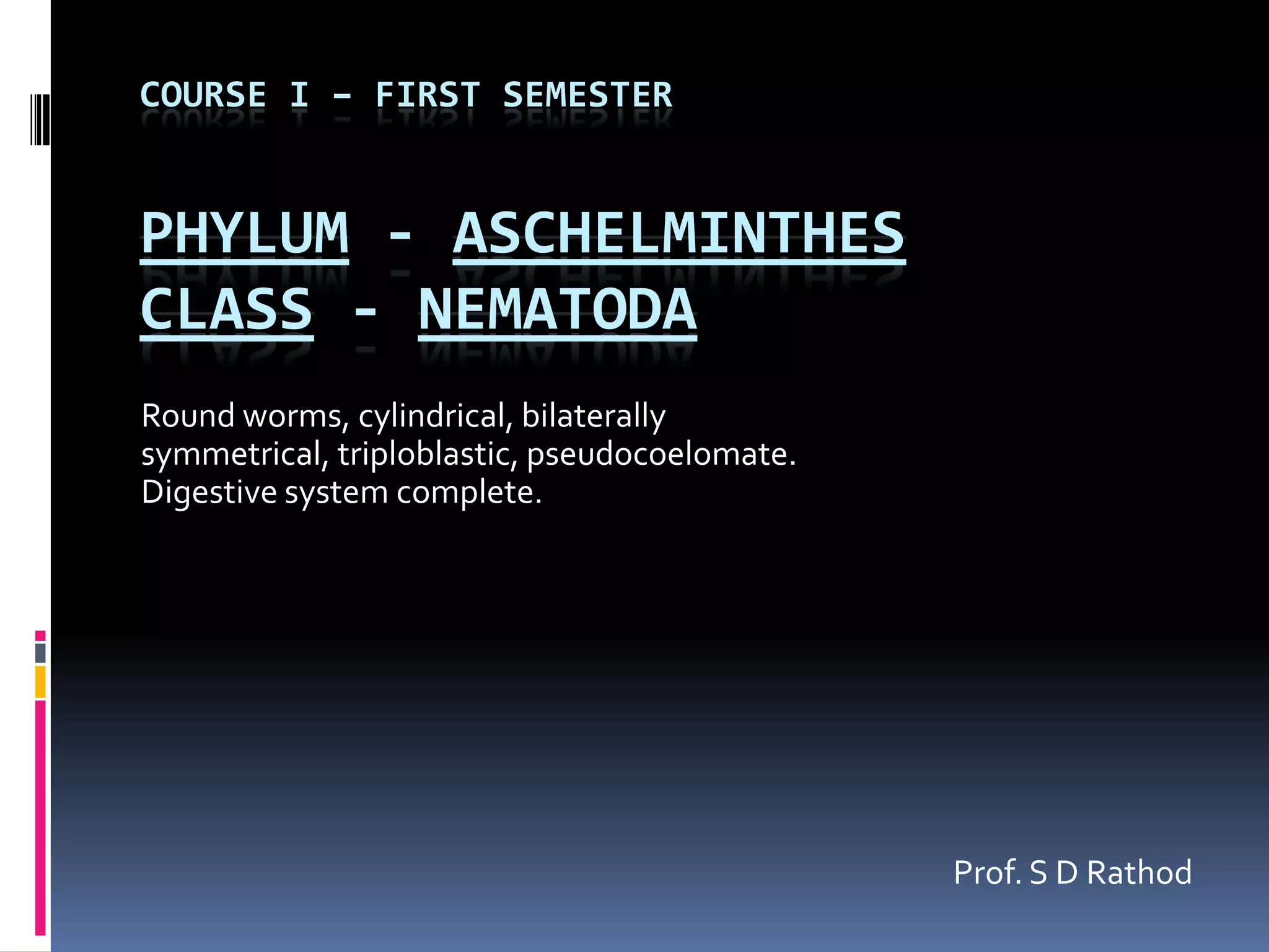 Phylum Platyhelminthes and Nematodes | PPTX