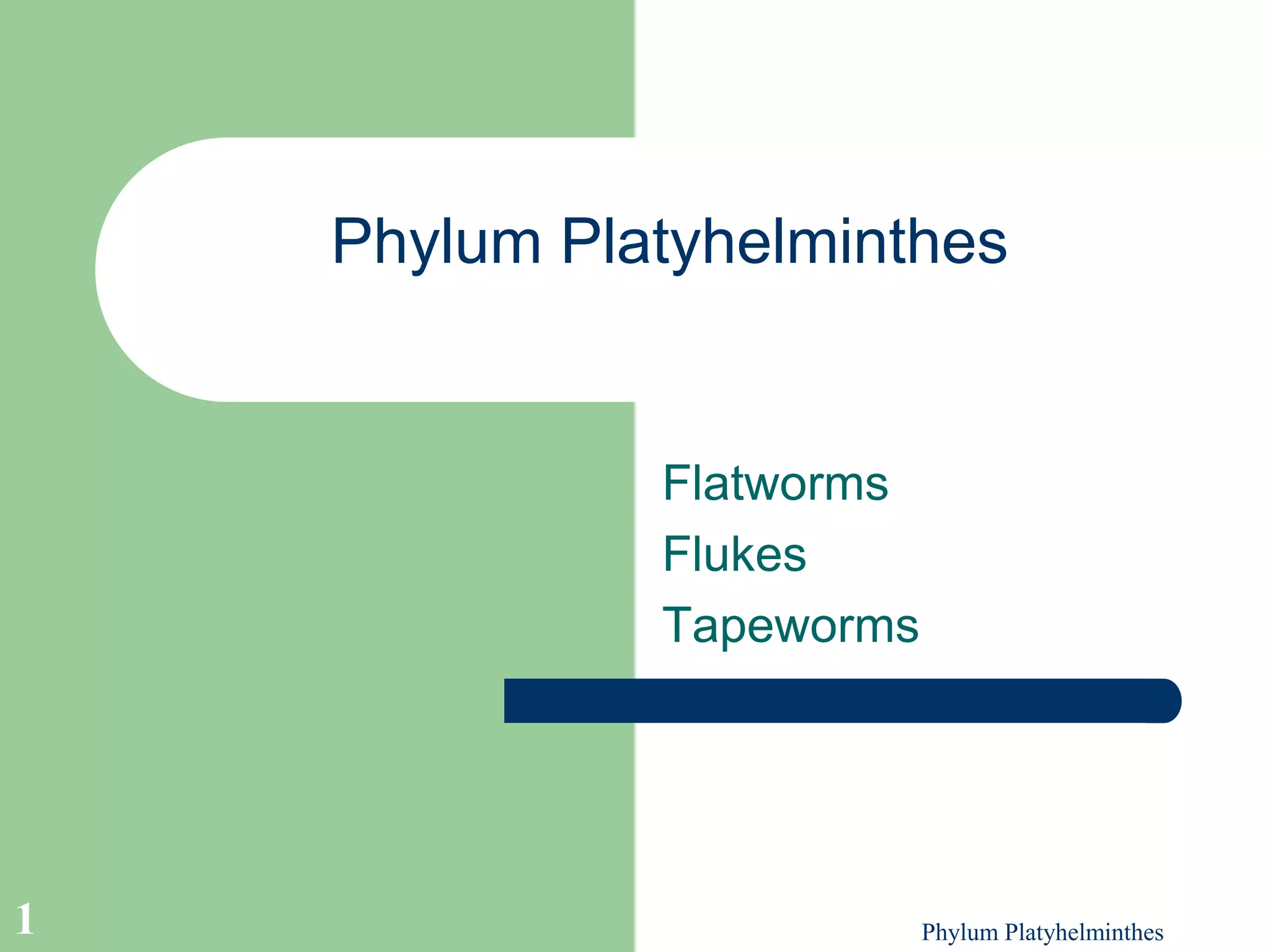 Phylum_Platyhelminthes.ppt