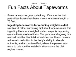 Phylum platyhelminthes | PPT