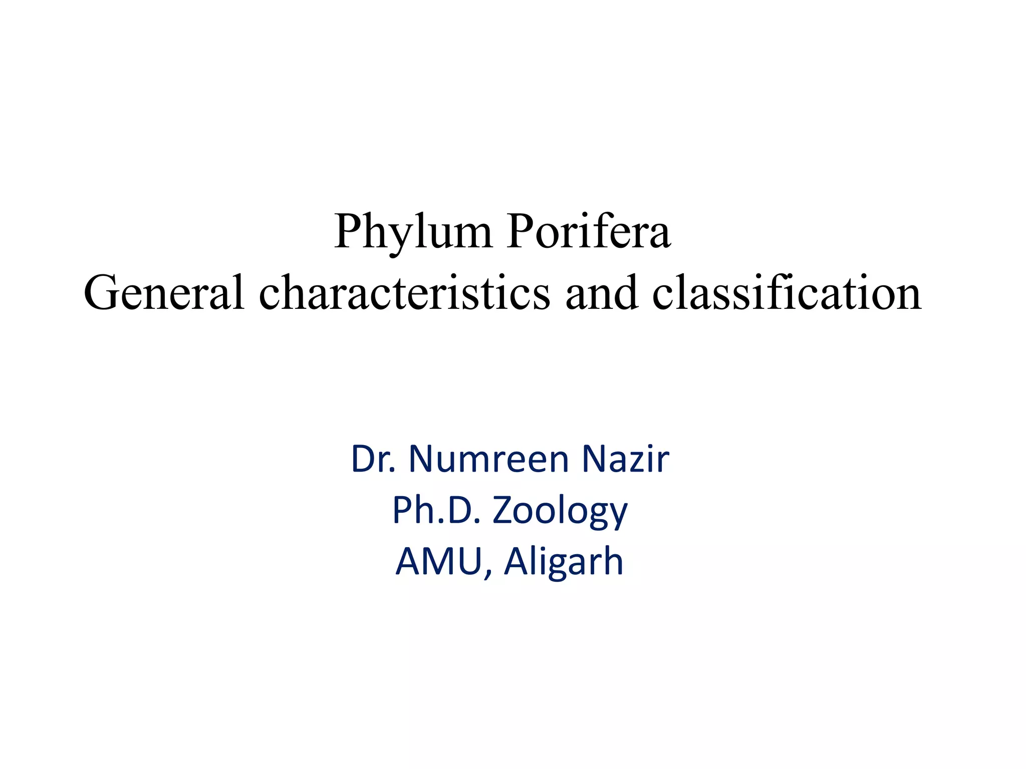 Phylum Porifera.pptx