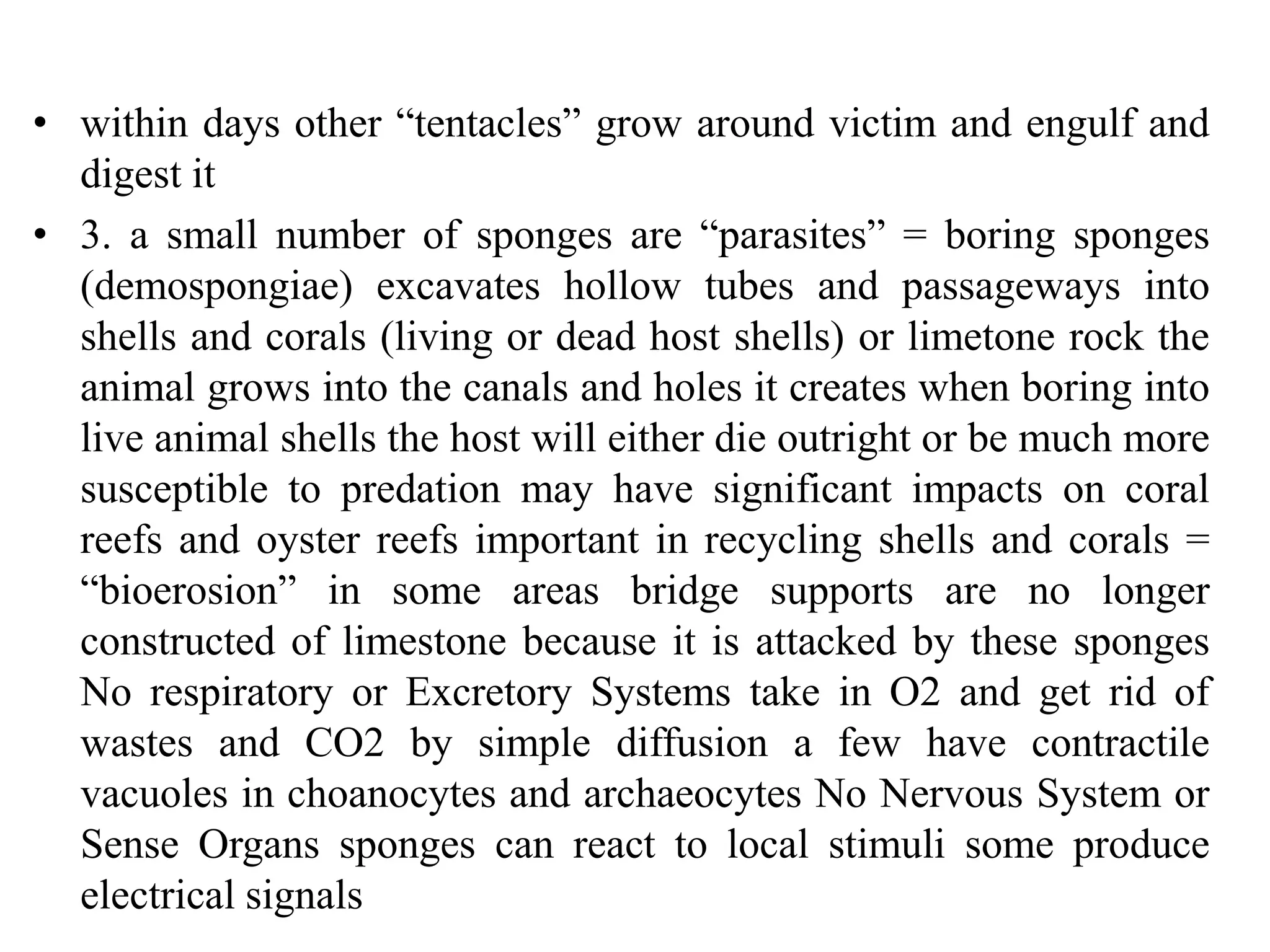 Phylum Porifera.pptx