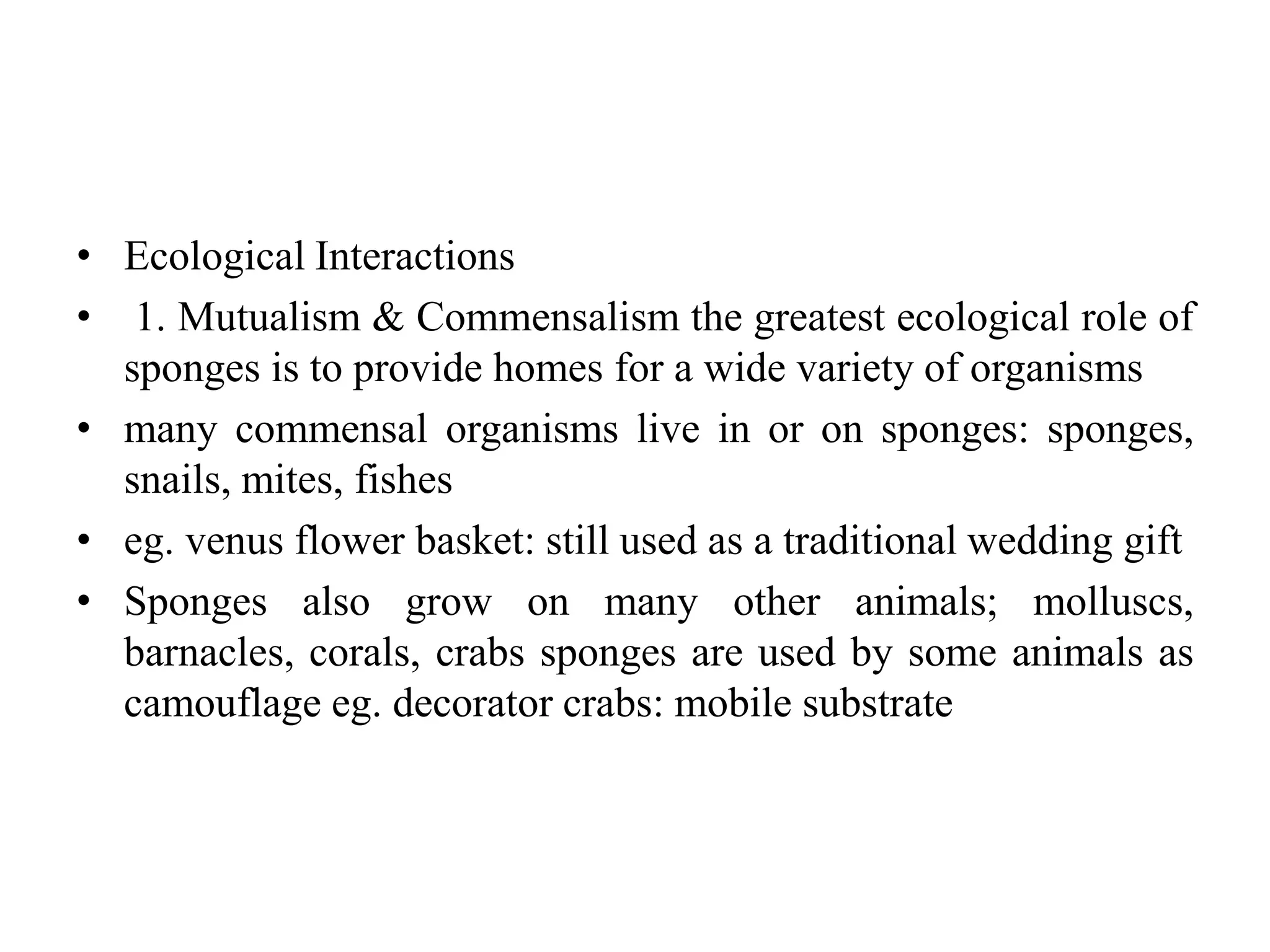 Phylum Porifera.pptx