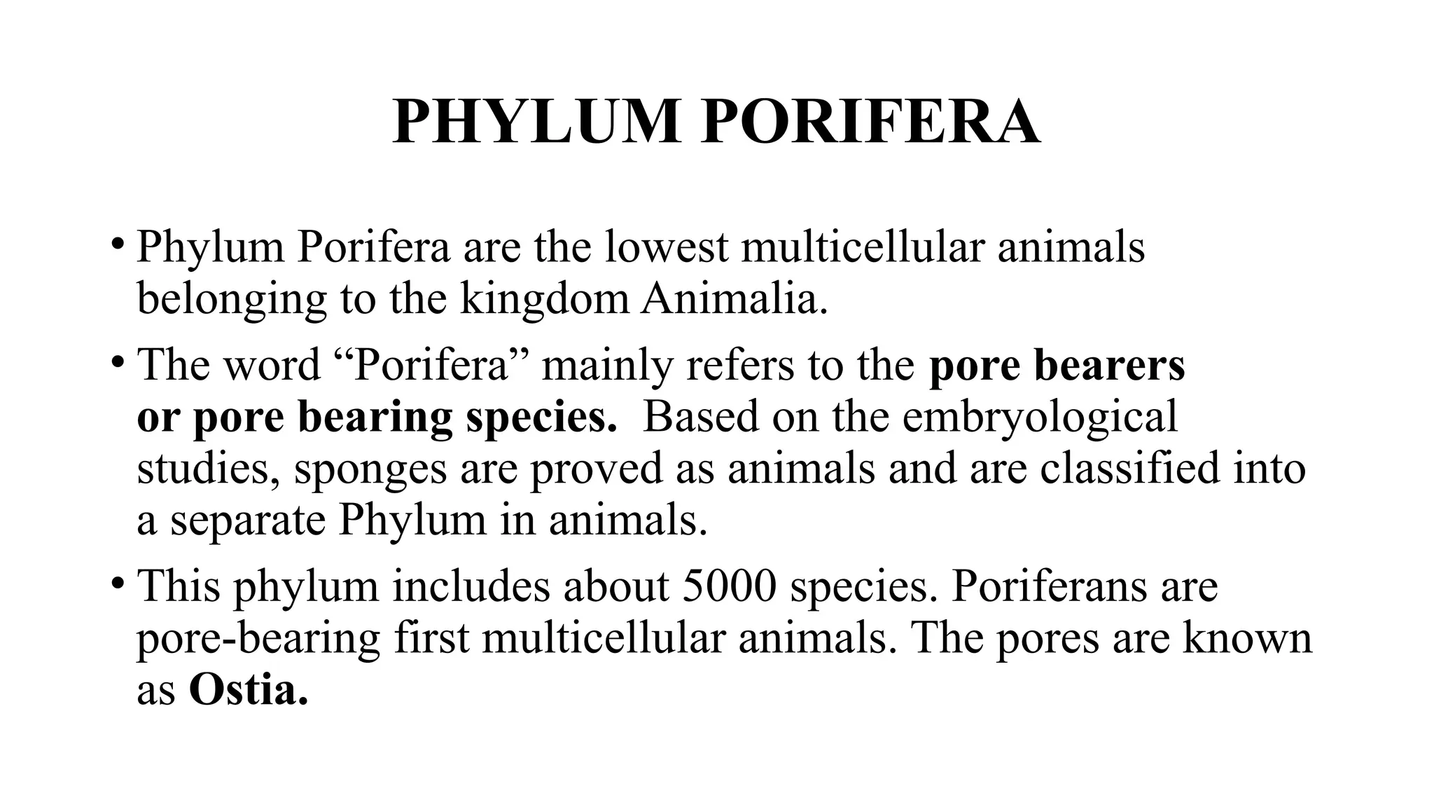 PHYLUM PORIFERA AND IT'S CHARACTERISTICS | PPTX