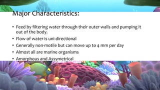 Phylum porifera presentation | PPTX