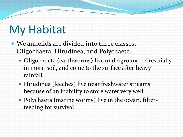 Oligochaeta Habitat