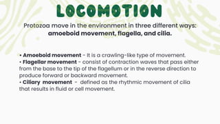 Phylum Protozoa.pdf. General zoology pro | PPT
