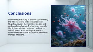 Phylum Protozoa trichomonas vaginalis.pptx