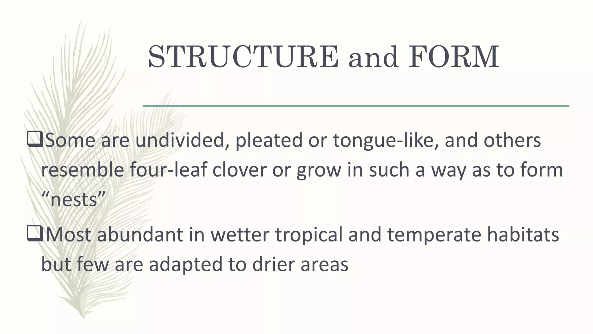Phylum Pteridophyta (True Ferns) - part 2 | PPTX