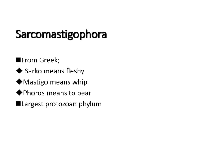 Phylum Sarcomastigophora.pptx | Biological Sciences | Science