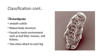 0002. Phylum TARDIGRADA.pptx