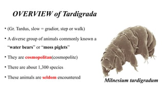0002. Phylum TARDIGRADA.pptx