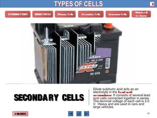 Phyics M4 Types of cells | PPT